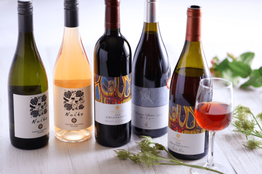 Chalet Shiga | Plan details | ＜WINTER＞【Long stay Plan - 3 nights ...