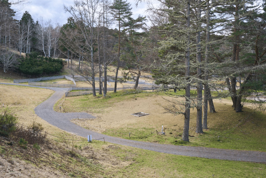 Mt.FUJI CAMP RESORT | プランの詳細 | リゾートドッグランサイト（Cサイト）