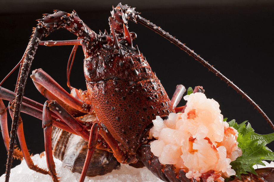 食べるお宿 浜の湯 | プランの詳細 | 【伊勢海老解禁！】伊豆稲取秋の伊勢海老まつり！